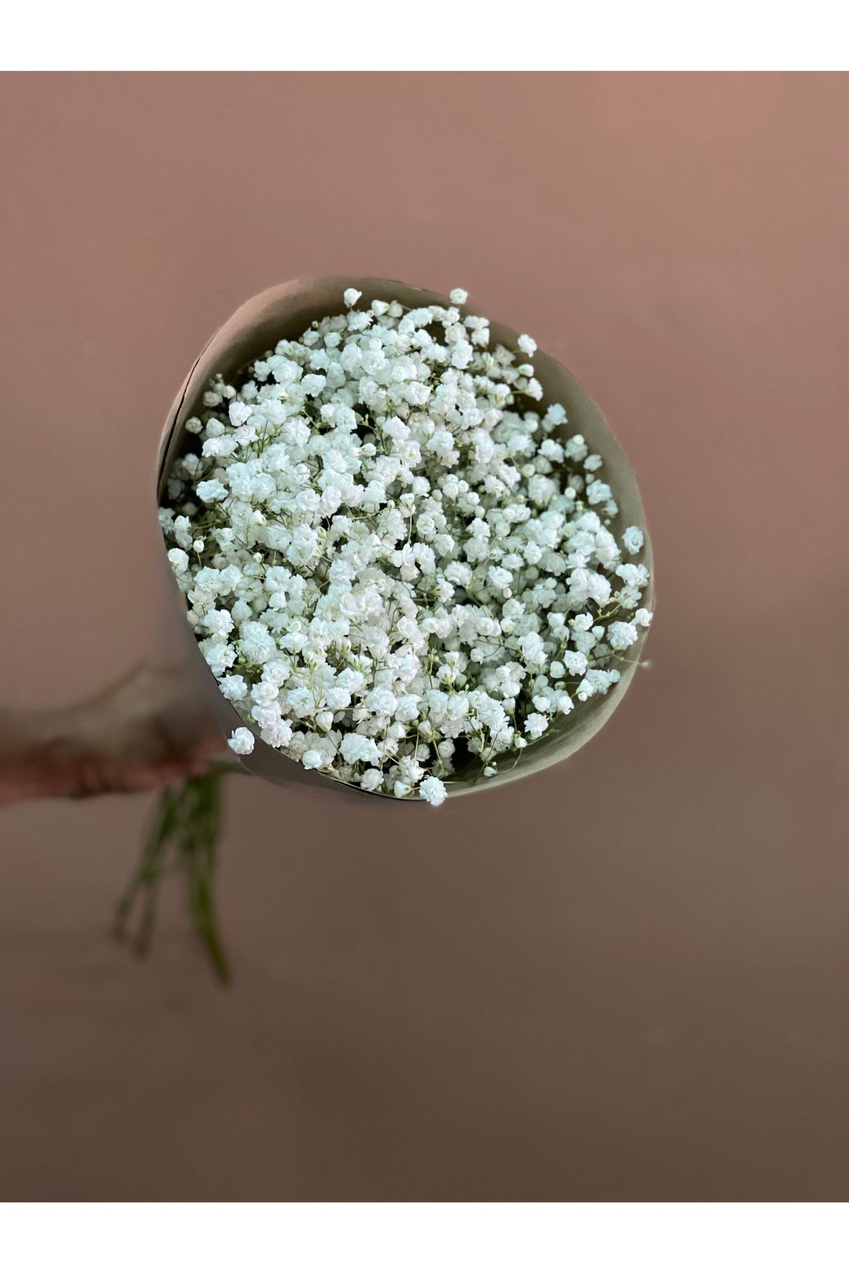 Baby's Breath — Eclore Floral